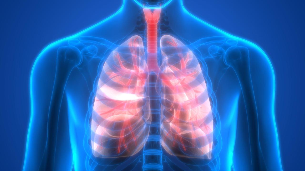 Nicholas Kenyon, MD | Environmental Health Sciences Center