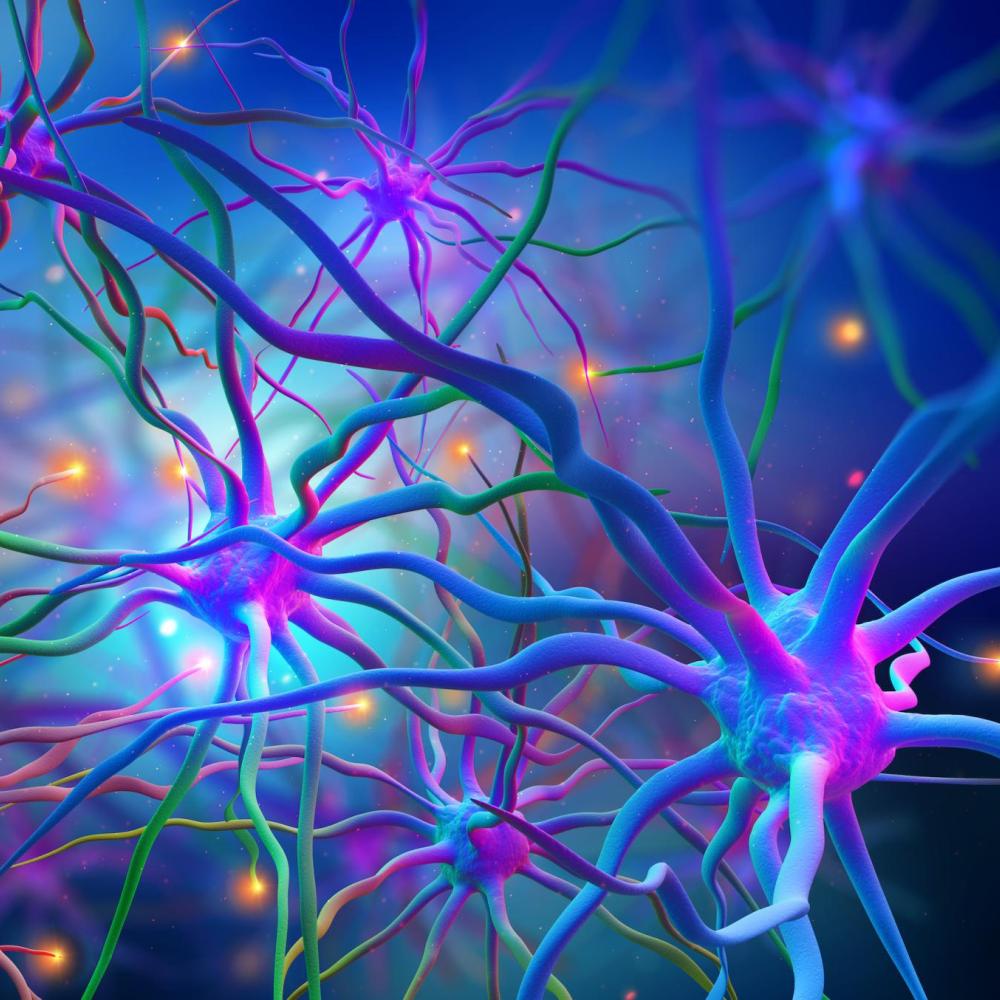 Home Page | UC Davis Environmental Health Sciences Center